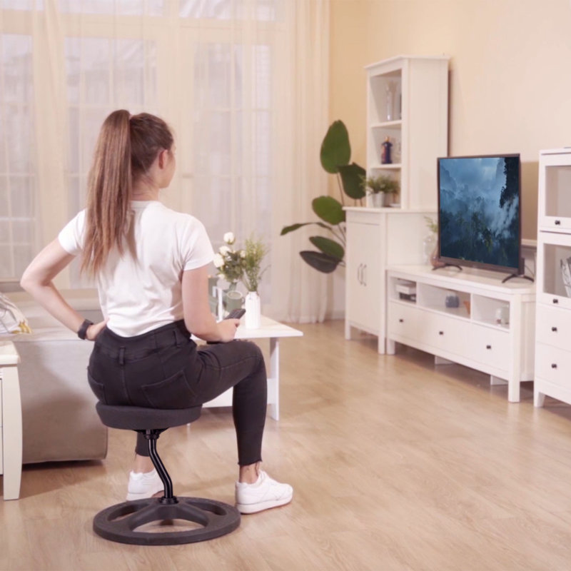 Inbox Zero Valenzuela Fitness Seat,ADHD Chair Stool for Stability,Balance,Yoga,Office, School ...